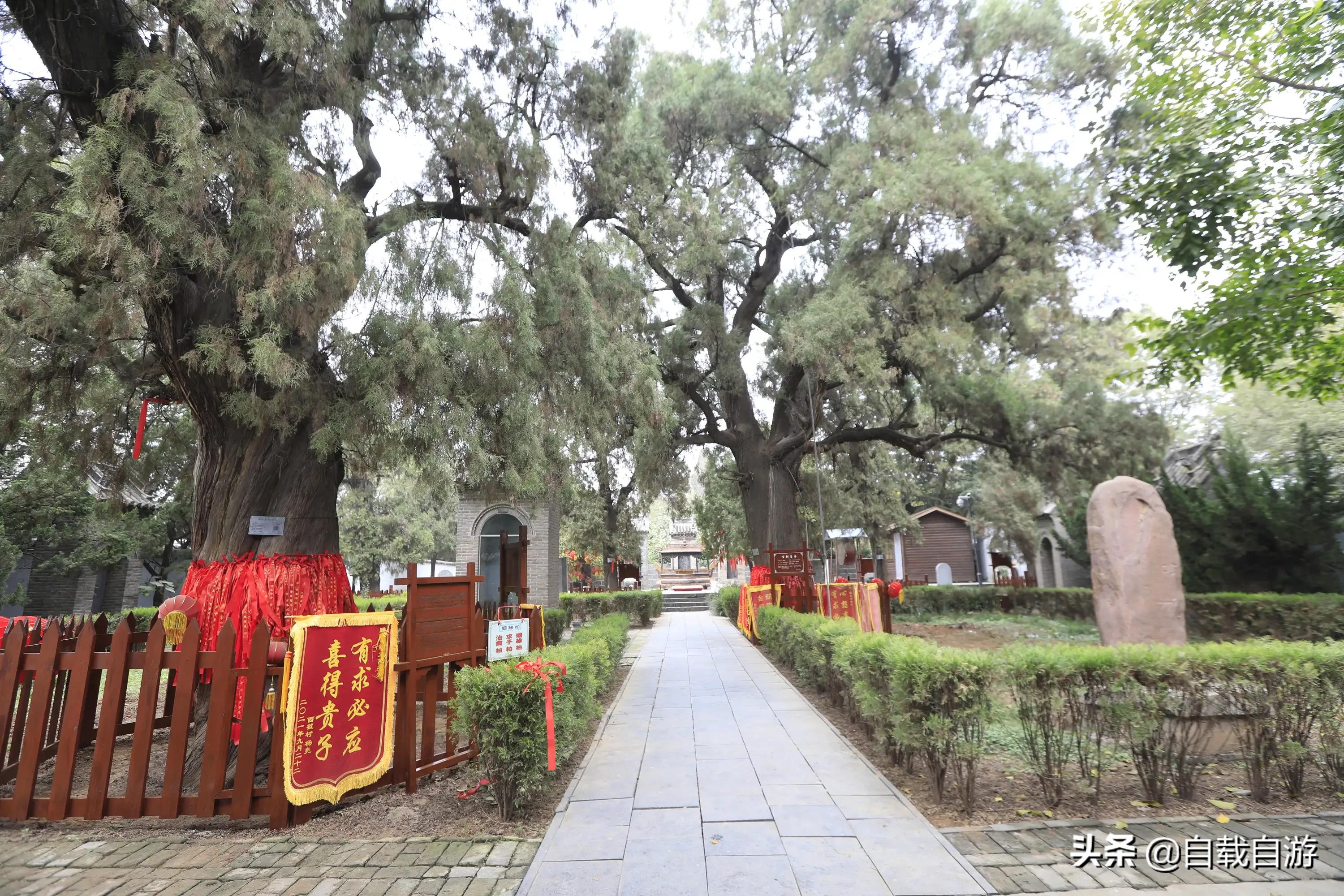 The end of a generation of Wenzong at Hanyu Cemetery in Mengzhou - iNEWS