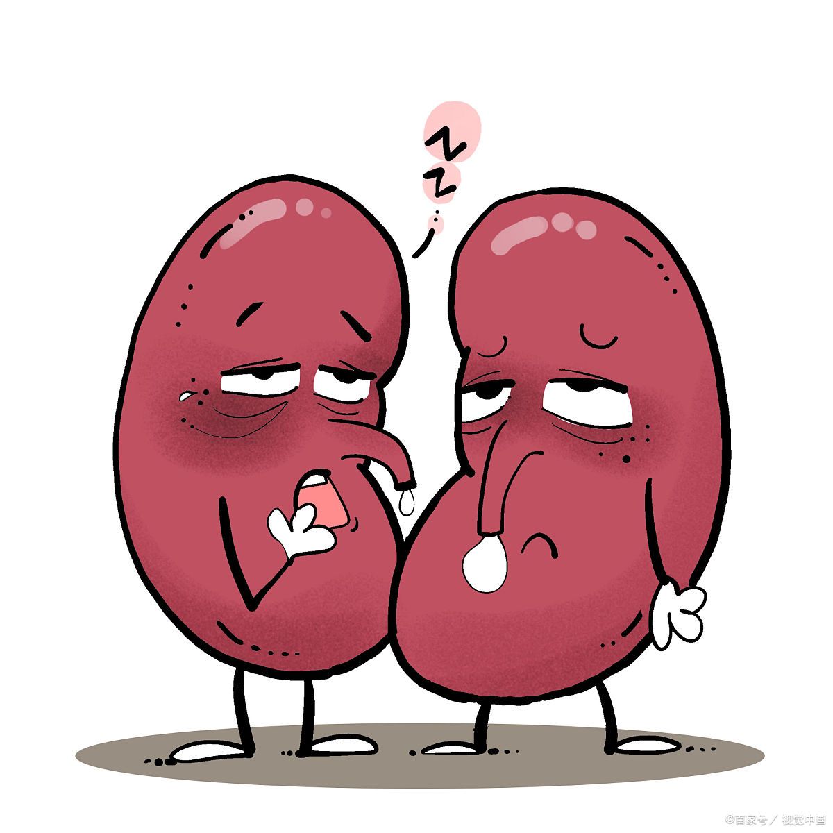 Symptoms of bad kidneys, as well as some suggestions and conditioning ...