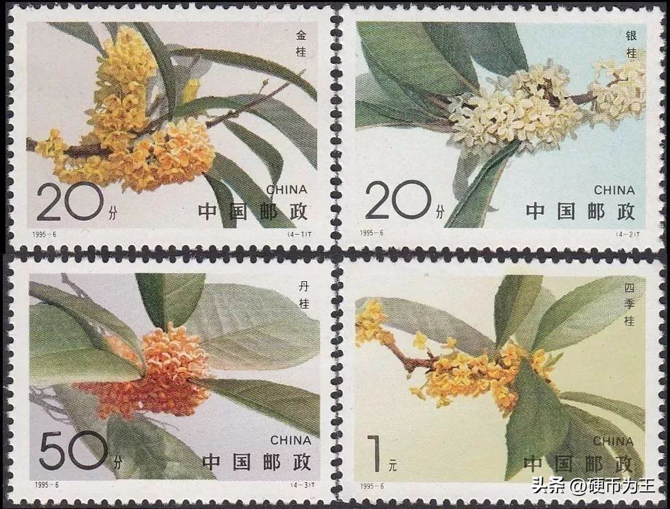Top Ten Flowers on New China Stamps (Part 2) - iMedia