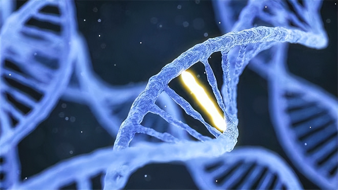 Why do people eat food? A loophole that cannot be explained by the ...