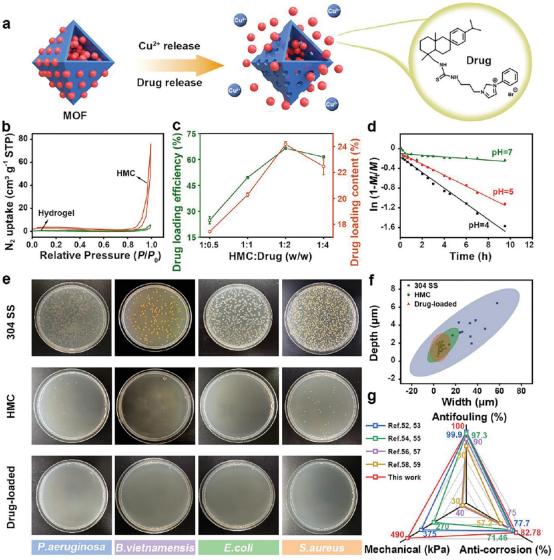 Northeastern University "AFM": MOFs coating inspired by nacre layer! - iMedia
