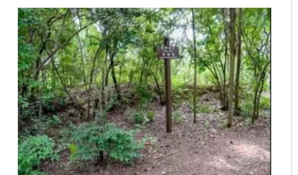 The Red Army's Anti-"Encirclement and Suppression"——Battle of Saltpeter ...