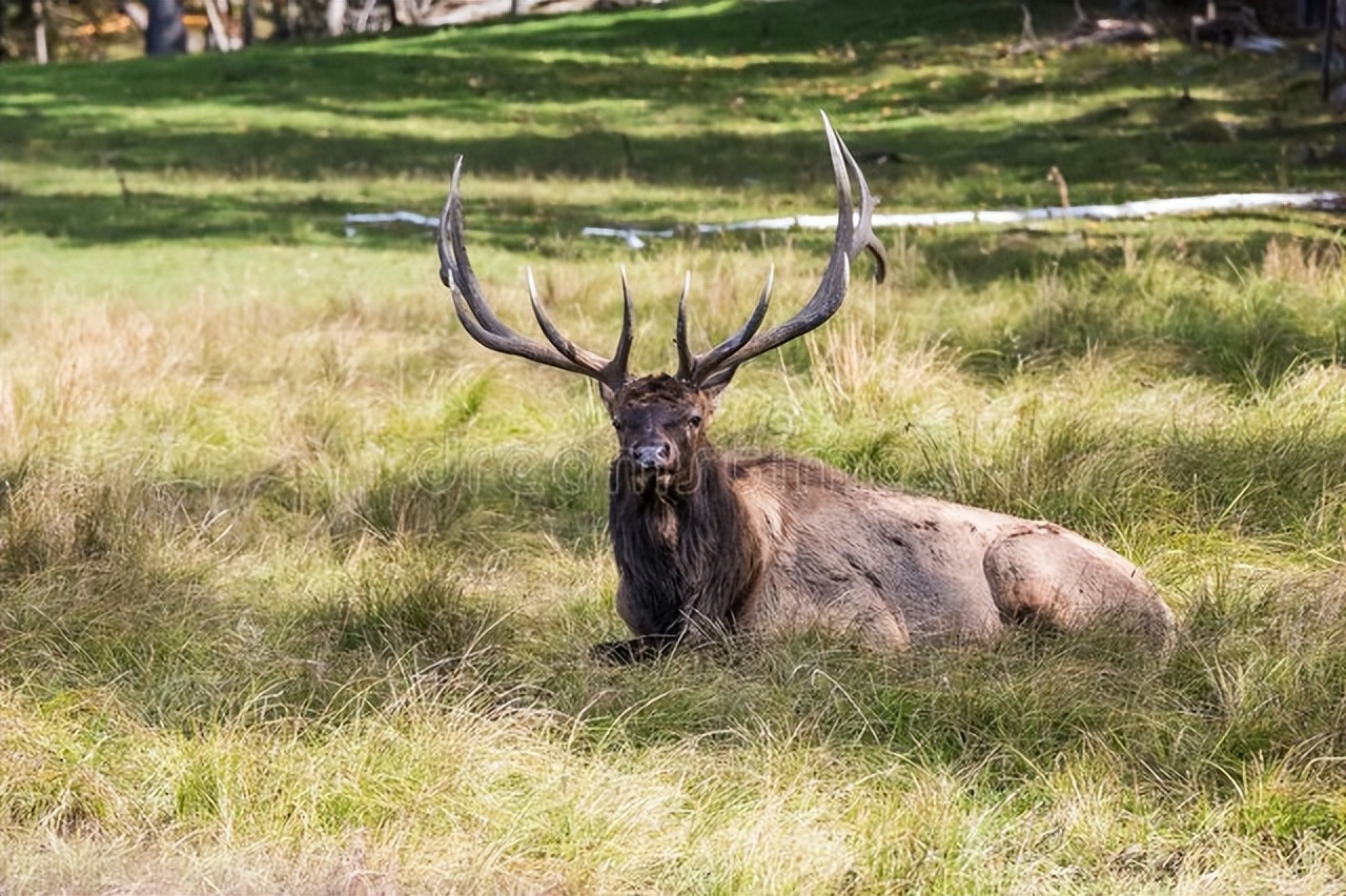 The origin of human beings, the development of ancient civilizations ...