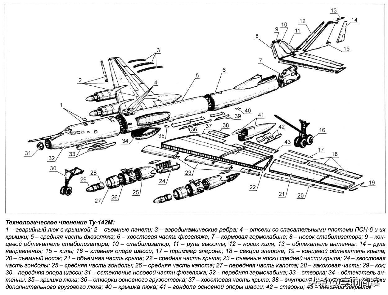 Tu-142M/MR/MZ anti-submarine/reconnaissance aircraft - iMedia