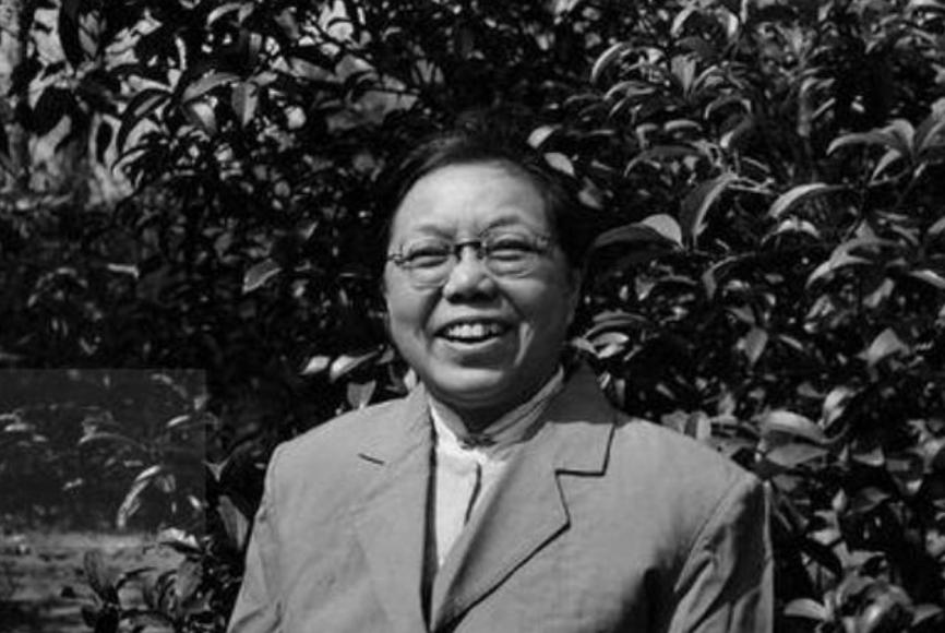 Deng Xiaoping in Zhuo Lin's eyes: a good husband who is not romantic ...