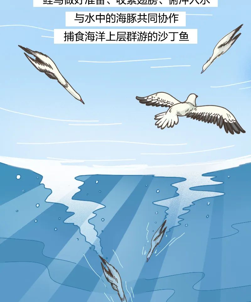 [World Oceans Day] Dive into the deep sea 4,000 meters, this ...