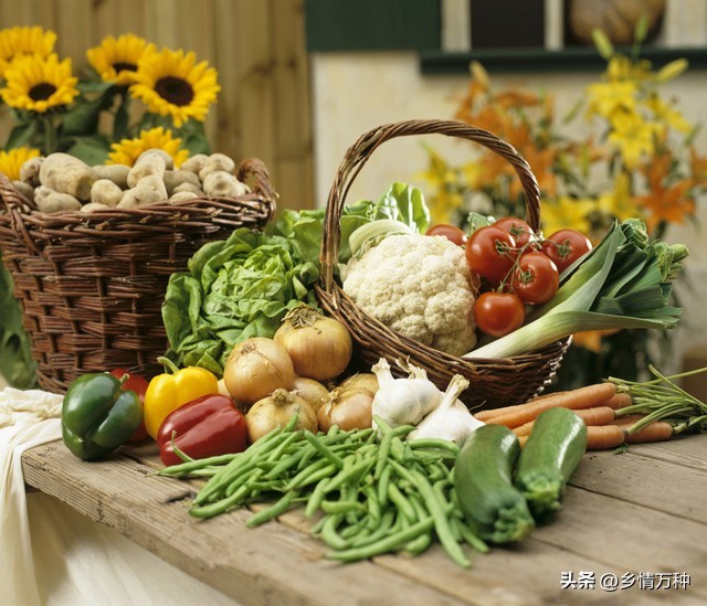 Planting Hotspots: Most Popular Flower and Vegetable Varieties - iNEWS