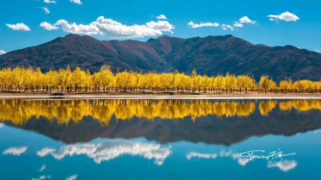 If you can catch up with the autumn in Tibet, you must visit Shannan ...