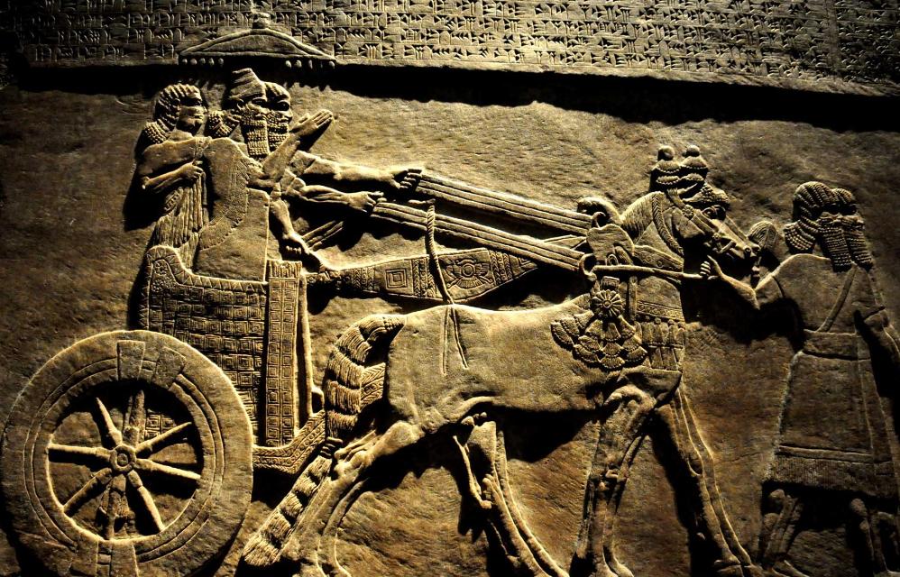 A brief analysis of the process of the war between Egypt and the ...