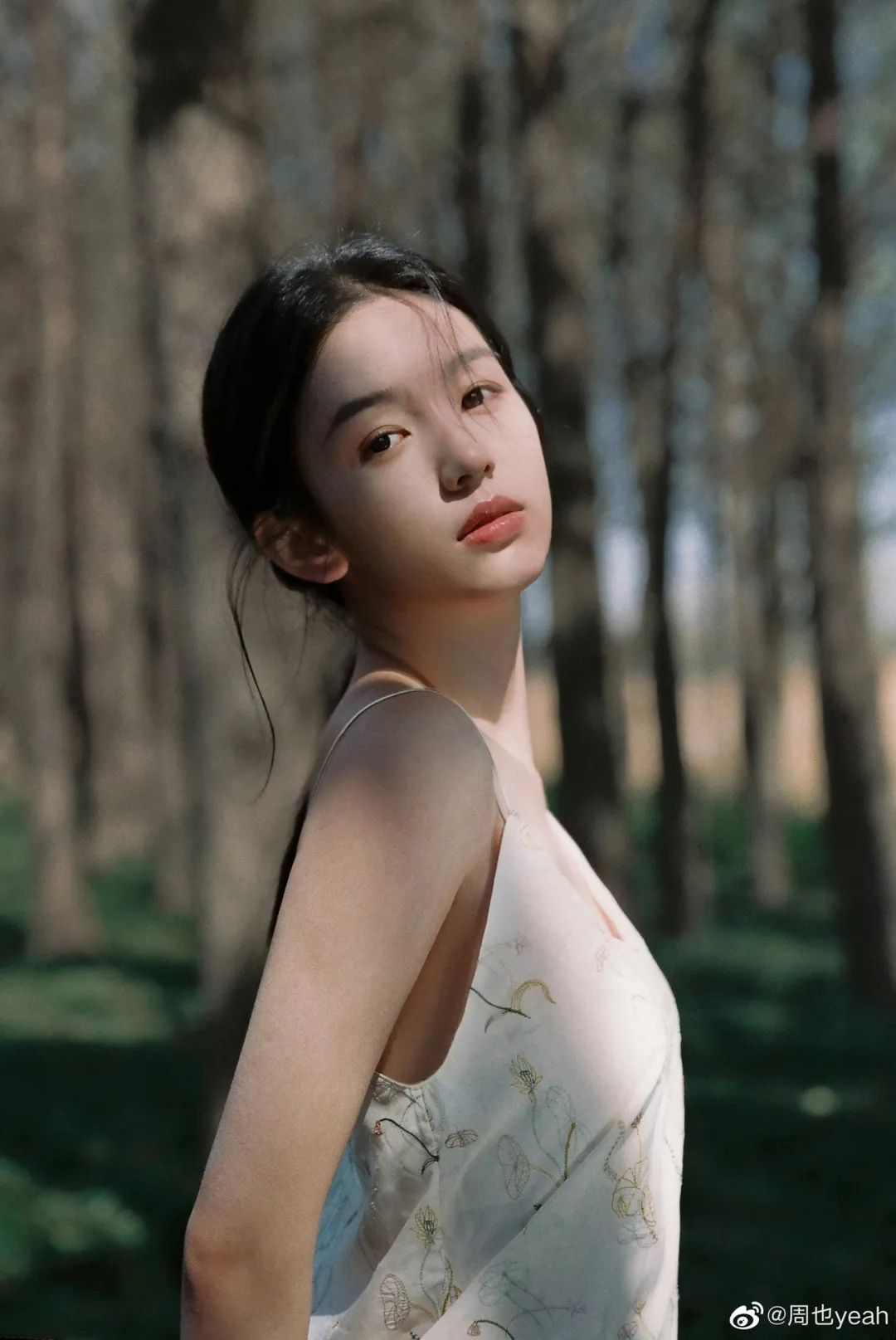 Zhou Xingchi, Liu Yifei, Hu Bing, Zhou Dongyu, Zhou Ye - iMedia