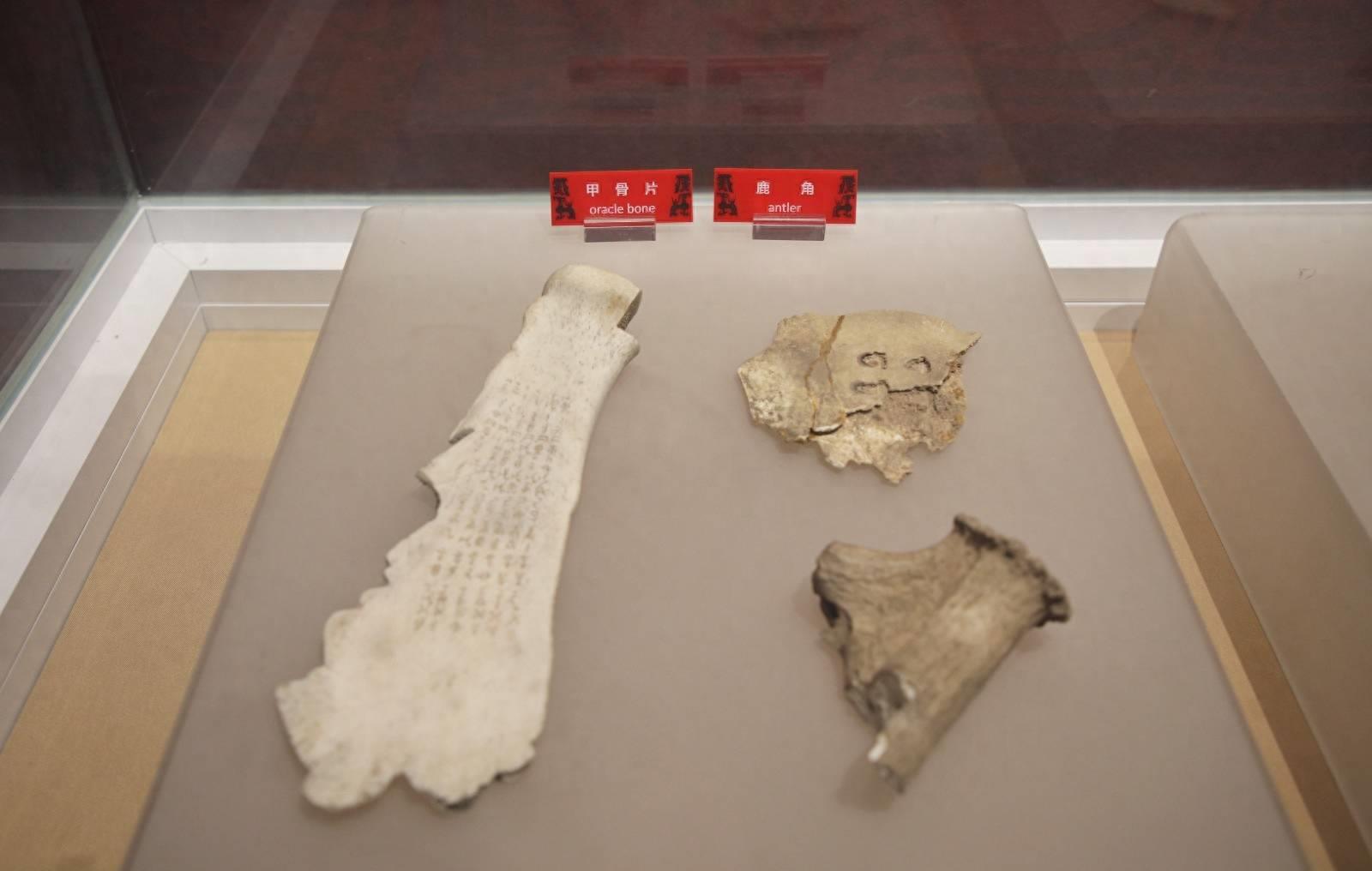 Enter the Yin Ruins and explore the origin code of Chinese civilization ...