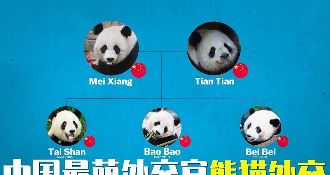 Giant Panda: The Diplomatic Role and Significance of China's Friendship ...