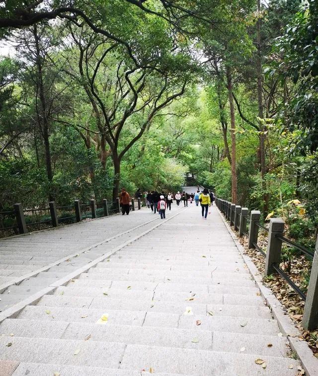 A beautiful encounter with Sheshan - iNEWS