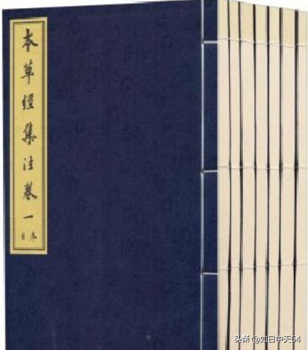 Tao Hongjing's ideas and practices are worth learning from - iNEWS