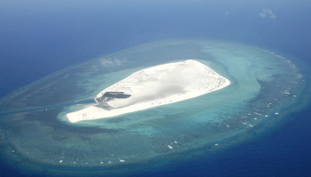 In just 8 years, China has completed the green miracle of the Nansha ...