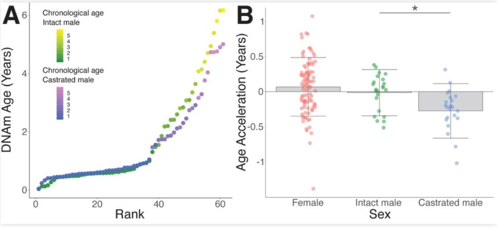Excessive sexuality causes disaster, cut off to live forever ...
