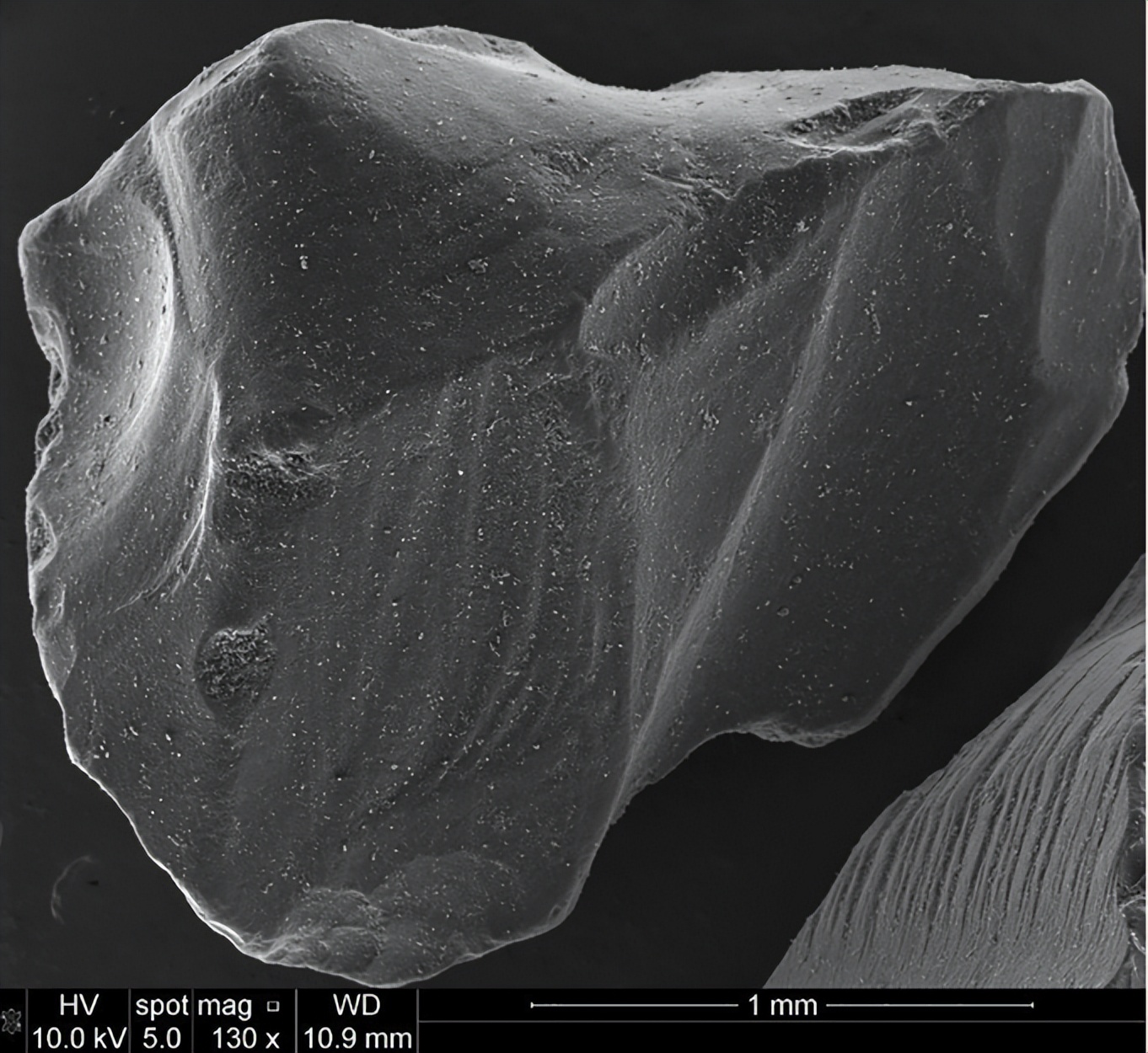 What is the role of macropore volume and chemical surface properties of ...