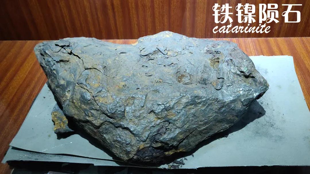 Special coat of arms in meteorites - Westerden - iNEWS