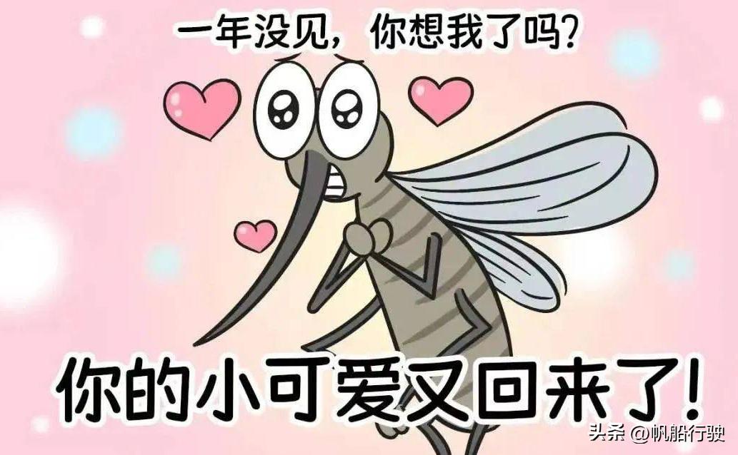 Among a group of people, why do mosquitoes only bite you? Regardless of ...