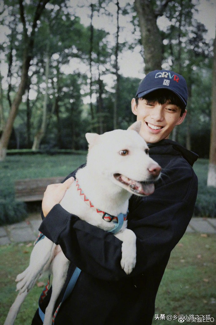 Wu Lei walks the dog in the park and takes pictures with gentleness and ...