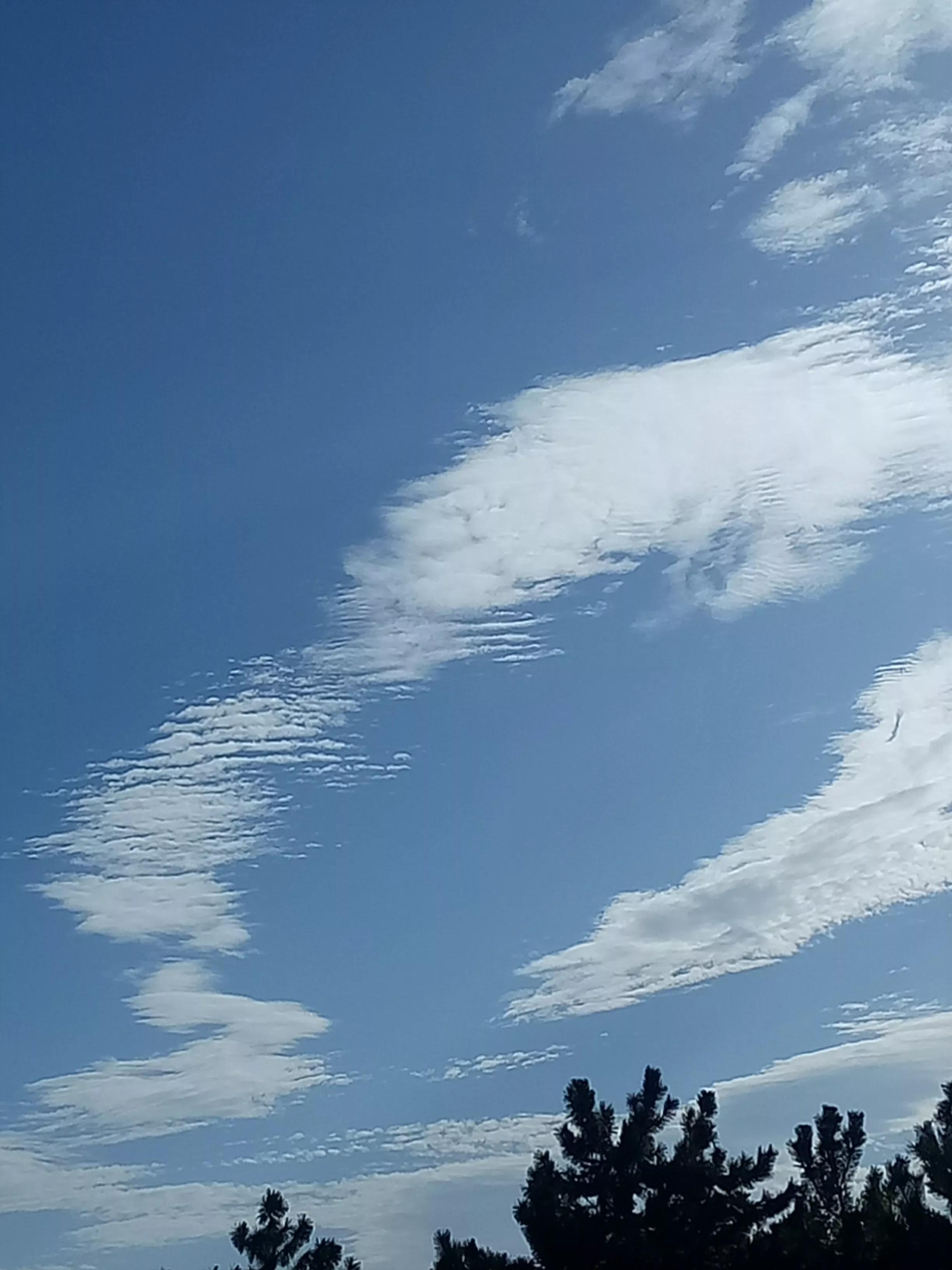 Shi Zhaohui's Poems Realistic Poetry - iNEWS