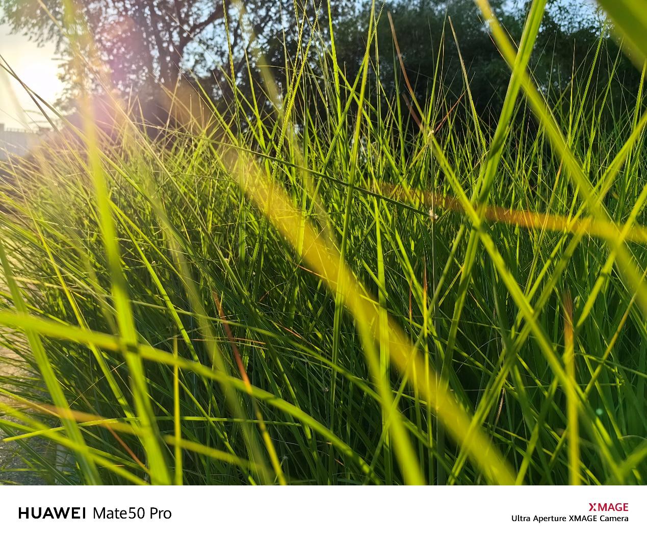 DXO越洋自購測試，華為Mate50 Pro總分問鼎榜首卻依舊低調 - 頭條匯