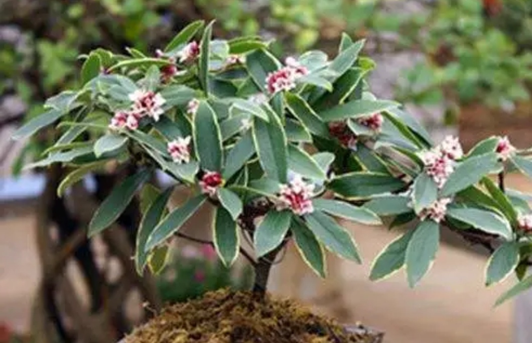 Raise Ruixiang in April, achieve "three more and one less", and grow ...