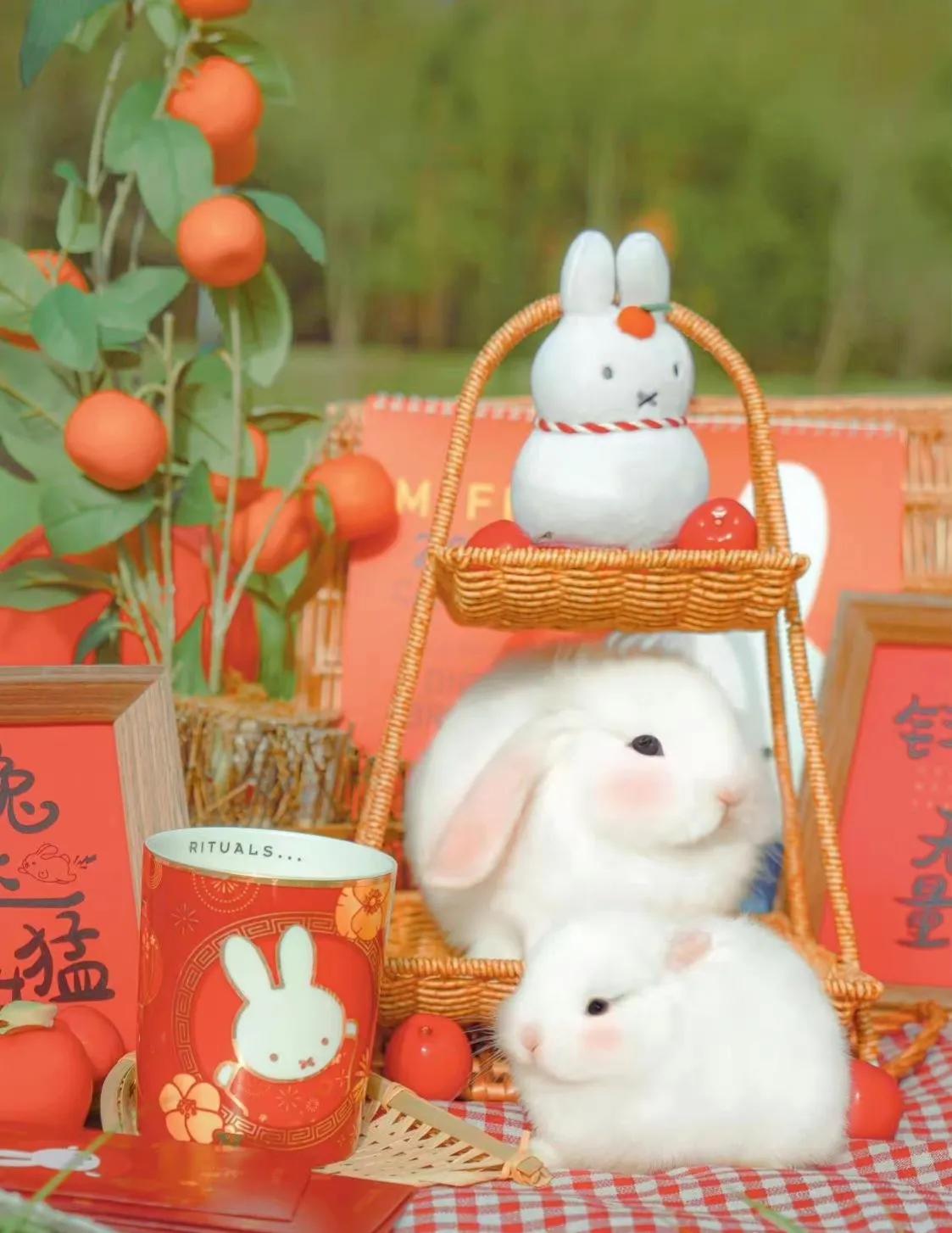 Happy New Year, Happy Year of the Rabbit!Share a group of super cute ...