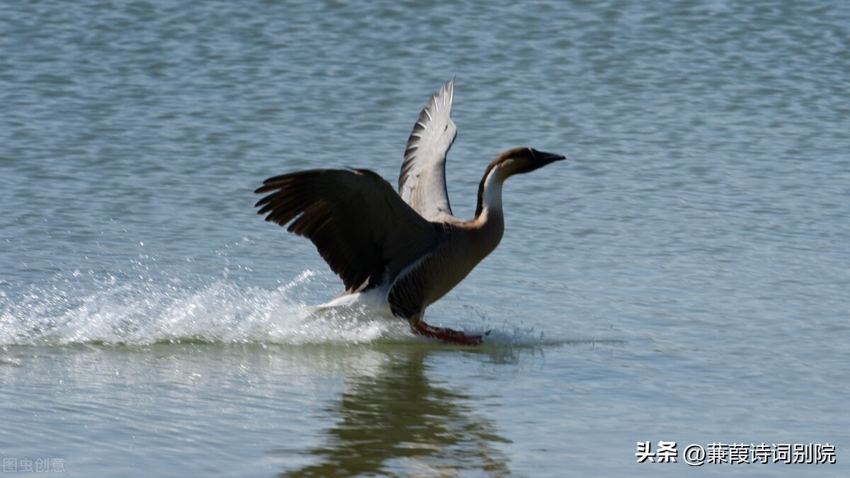 Everywhere in life knows what is like, it should be like Feihong ...