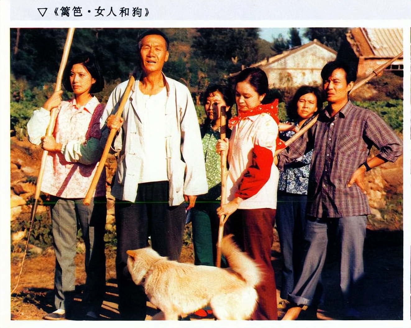 Liu Lili: Married to an outsider at the age of 31, she went to the ...