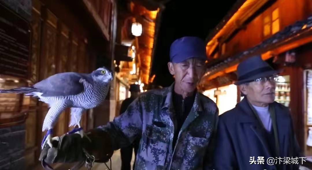 Wang Yunxiao: On Falconry Culture - iNEWS