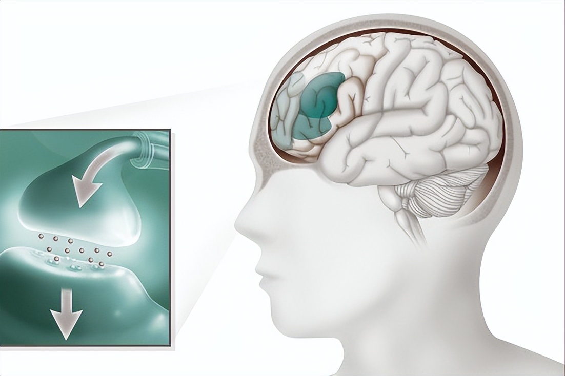 Analysis of the chemical constituents of the snake venom and the ...