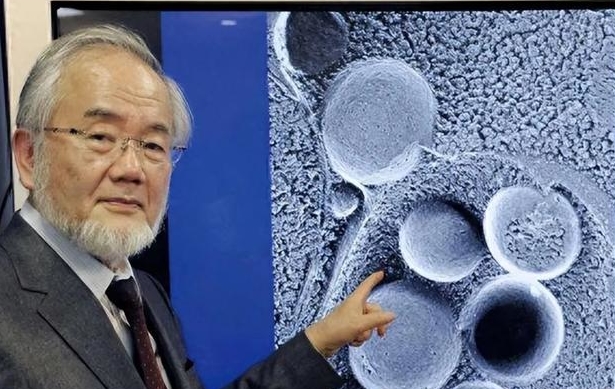 The list of the world's top scientists is revealed: 2,632 from the ...