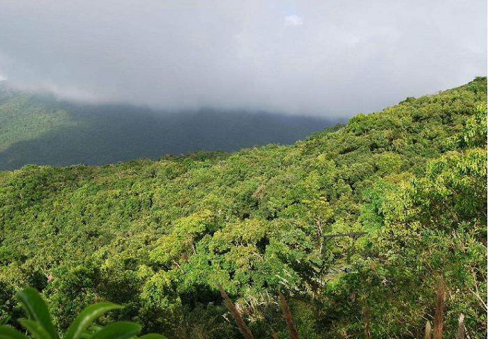 Go to the 8 most beautiful virgin forests in China - iMedia