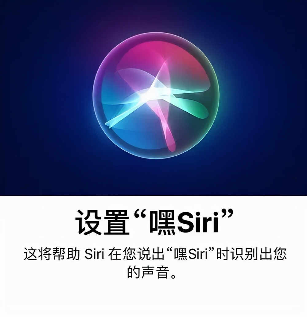 Why is Safari called Safari in English?What does Siri mean? - iNEWS