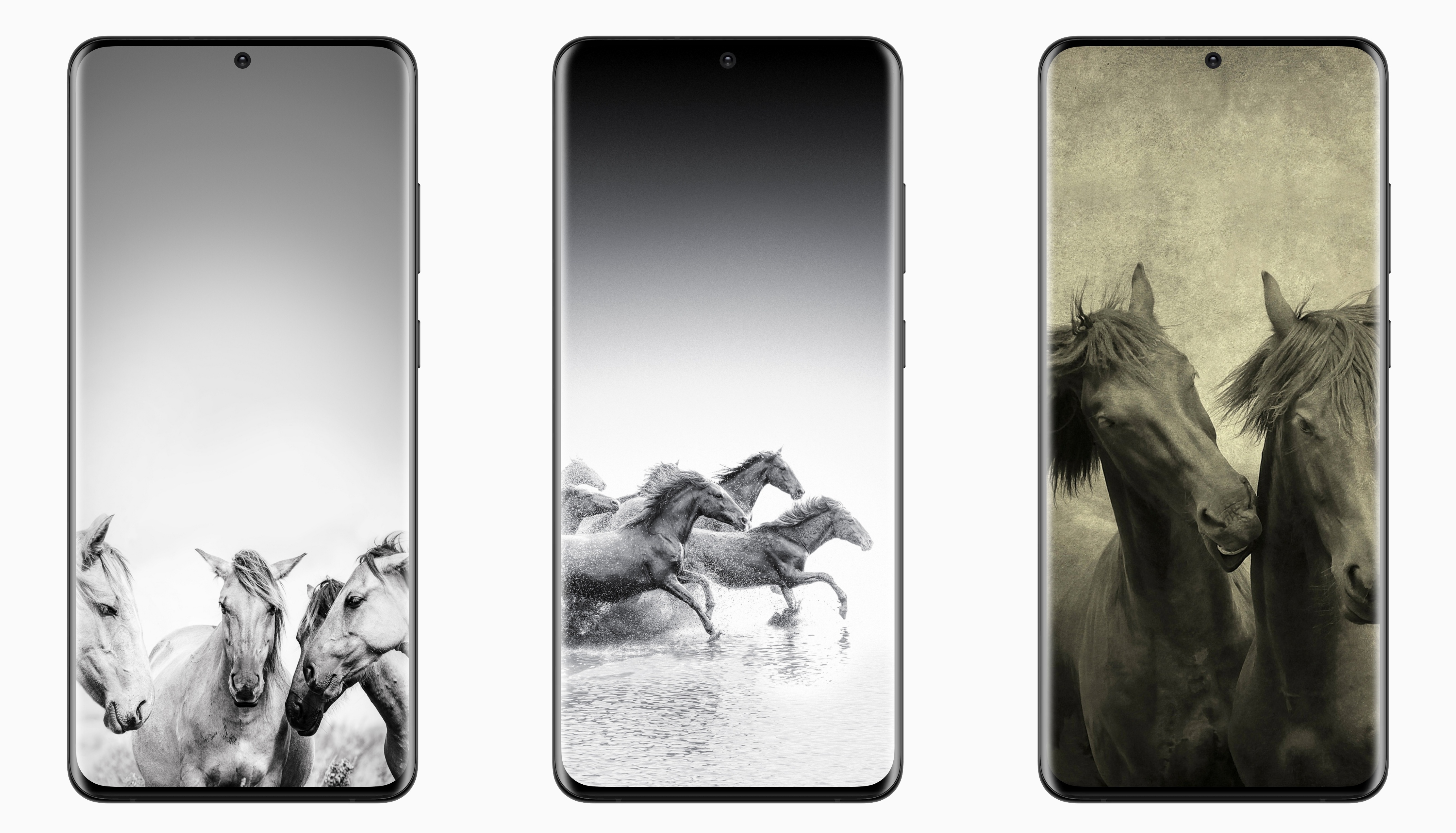 Built-in Wallpaper: Smartisan Classic Galloping Horse Series Wallpaper ...