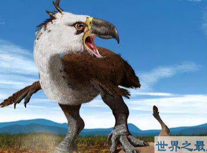 The largest bird in history, 3 meters tall and weighs 400 kilograms ...