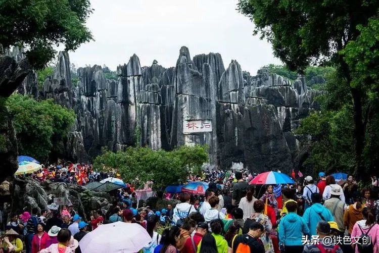 Stone Forest and Earth Forest - iMedia