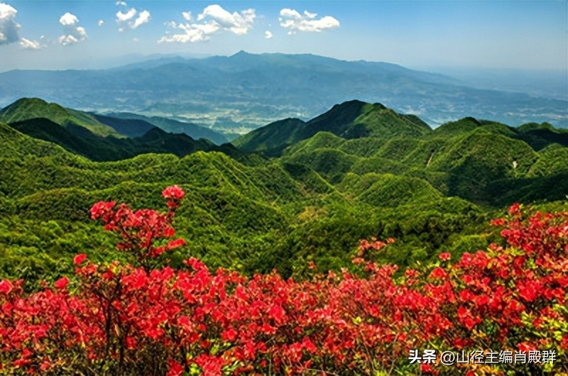 Looking at the feelings of mountain members (55) Zhisheng Gaoshan (Mountain Trail · Yang Jinwen ...