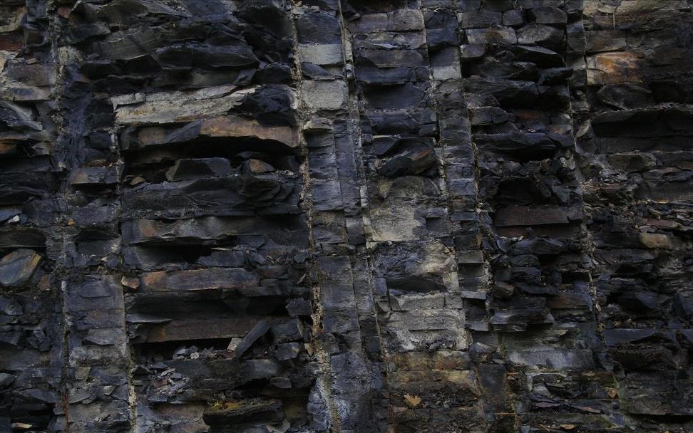 Sedimentary Environment and Geochemical Signs of Black Rock Series ...