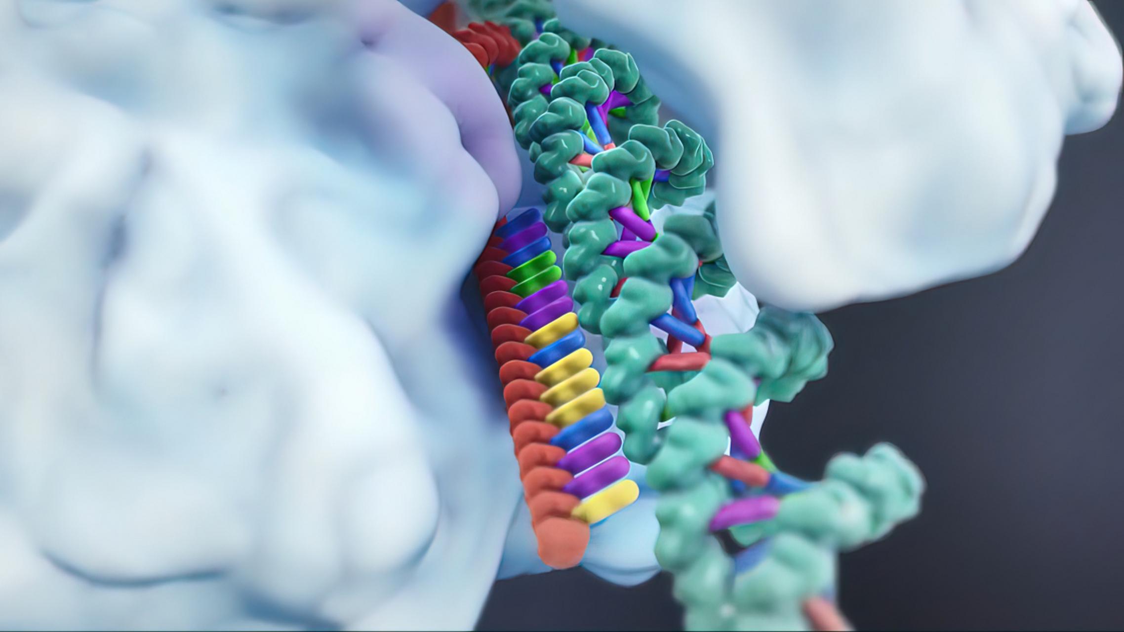 What are the characteristics of the preparation of nano-hydroxyapatite ...