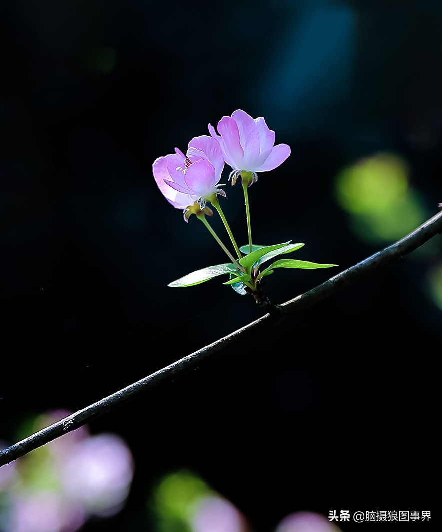 Why are your photos not transparent?You should find the reasons from ...