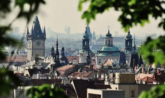 The evolution and characteristics of the German environmental movement ...