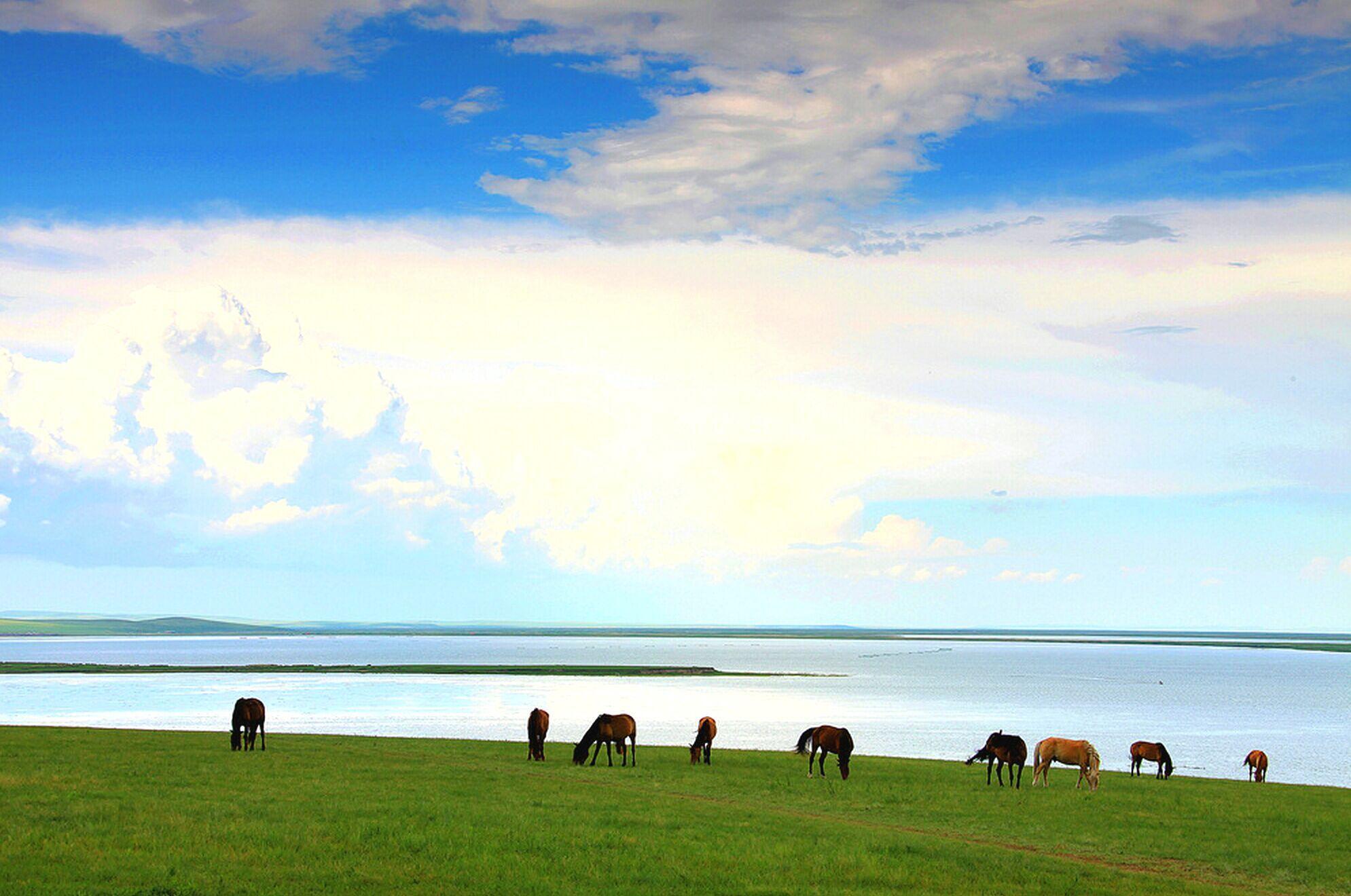 How about the geographical environment of Hulun Lake and Bell Lake ...