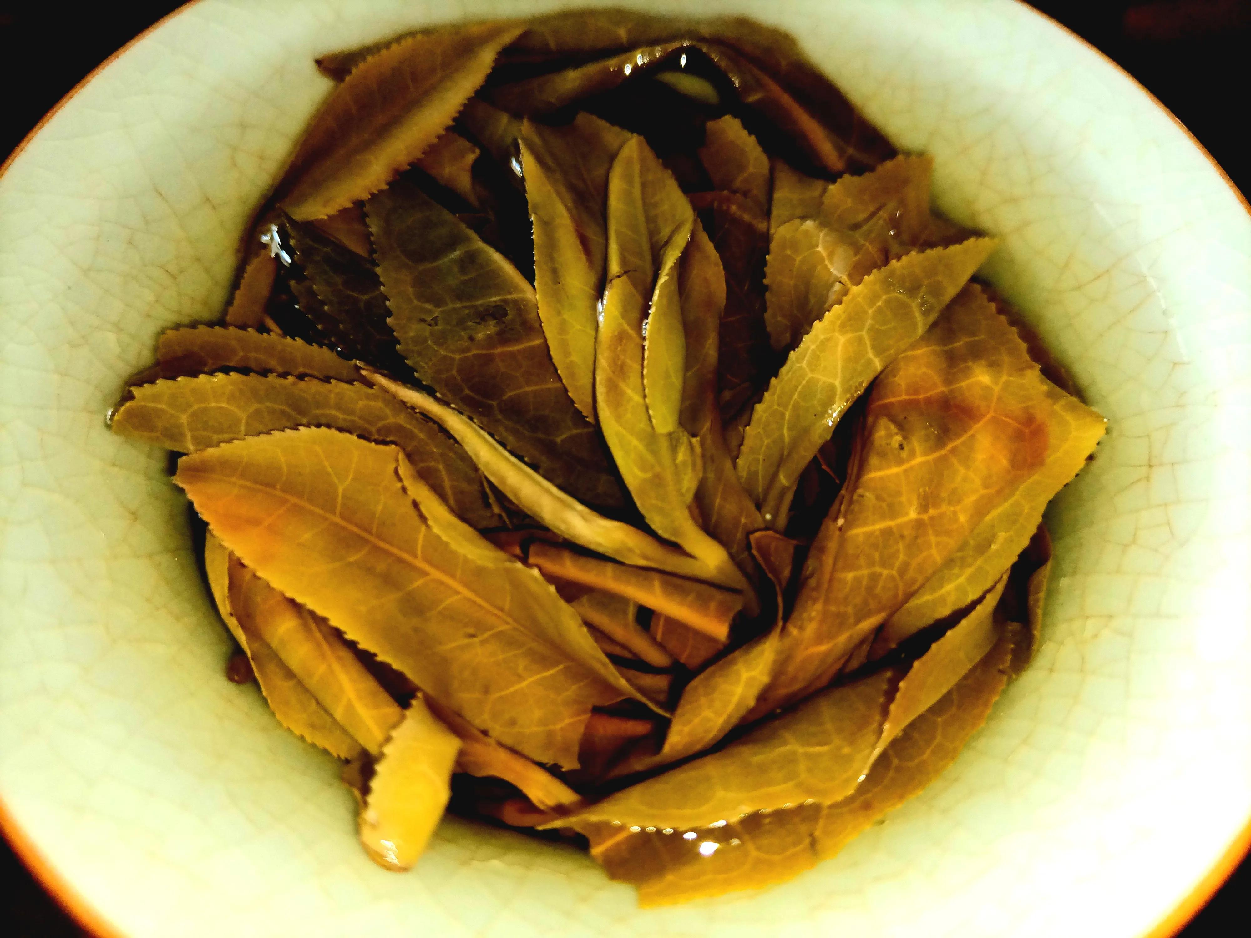 Tasting autumn tea from ancient trees in Pasha Laozhai - iNEWS