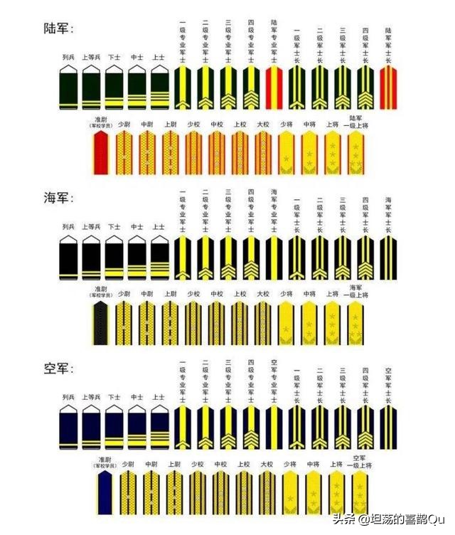 Ace troop: How many people do the platoon commander, company commander ...