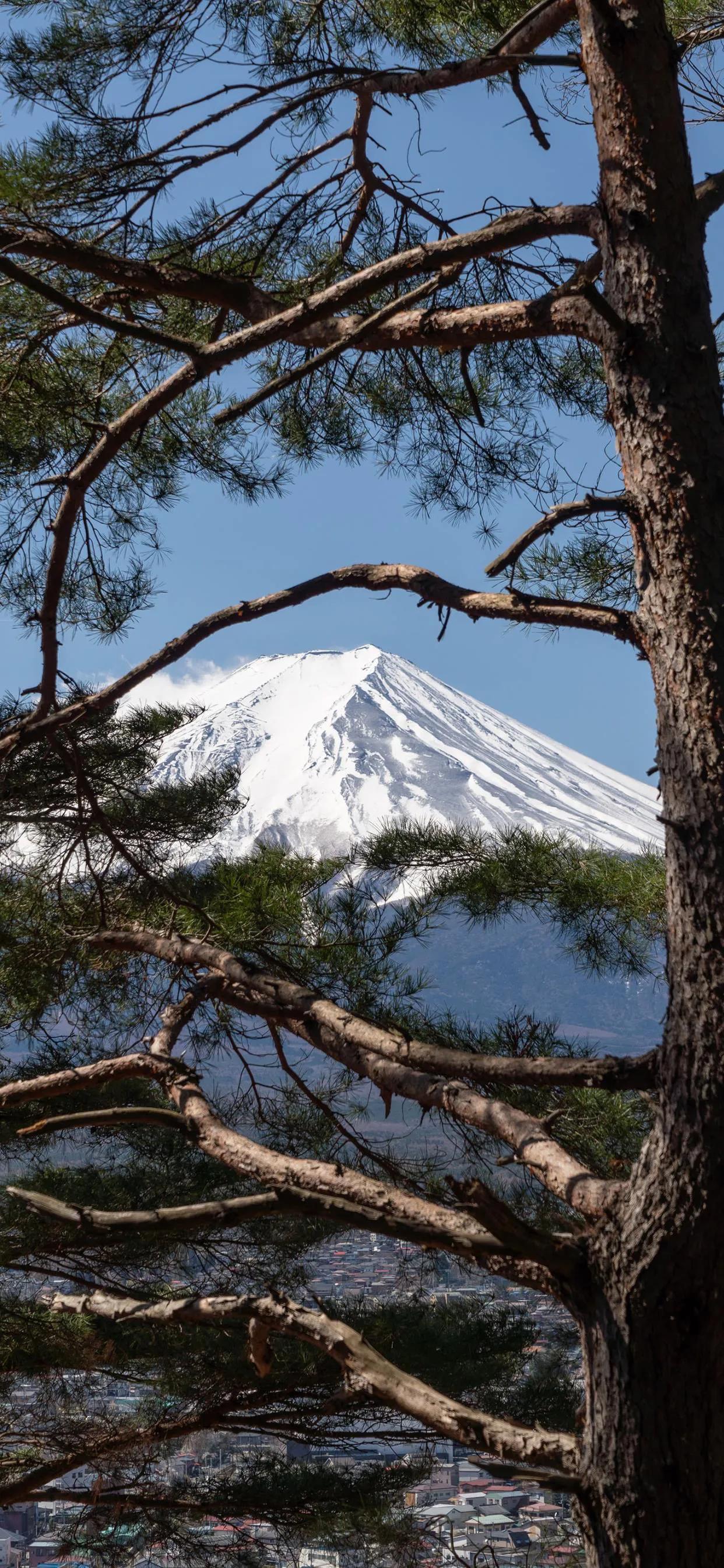 Green eye protection wallpaper - iNEWS