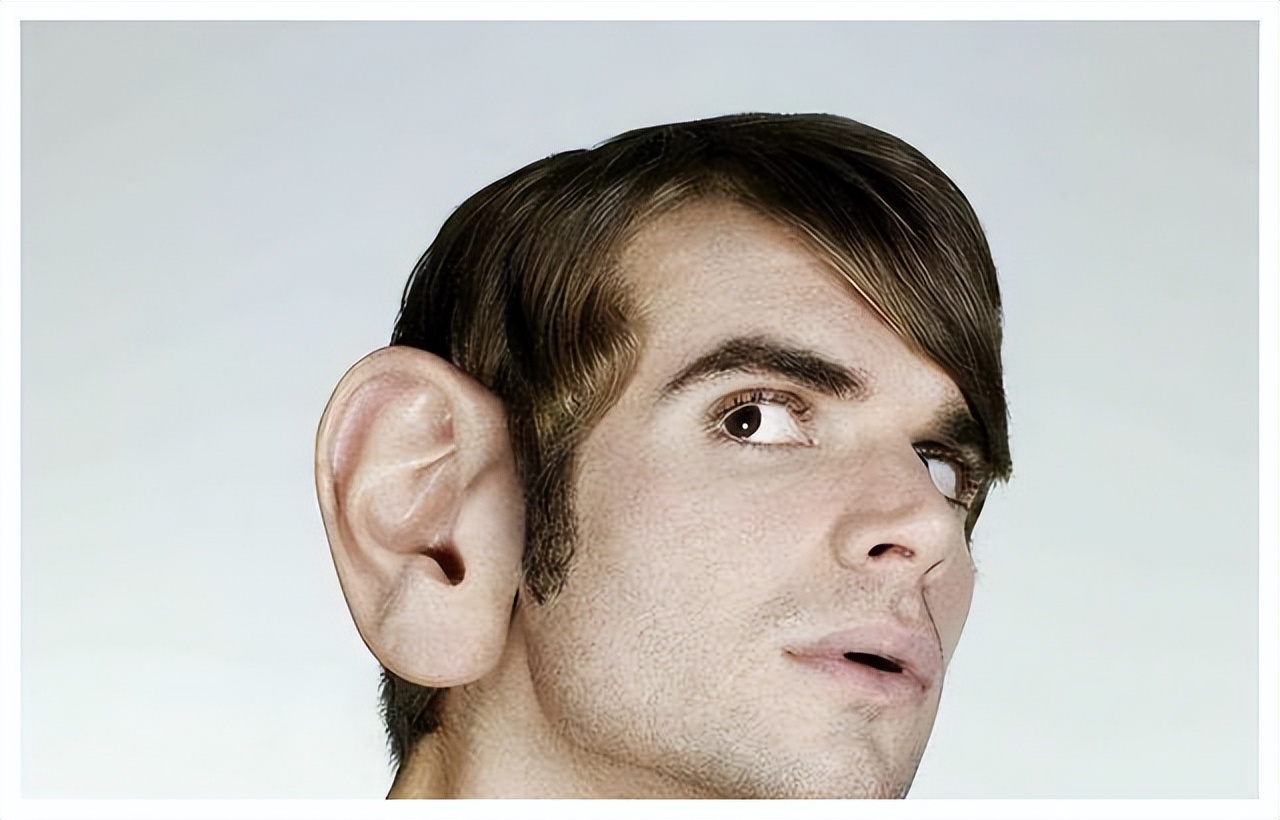 Are the ears different?What is the difference between "poor people's ...