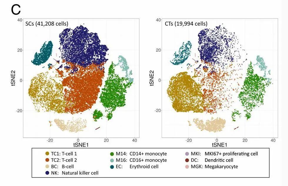 What is the difference between Japanese super-longevity people over 110 ...