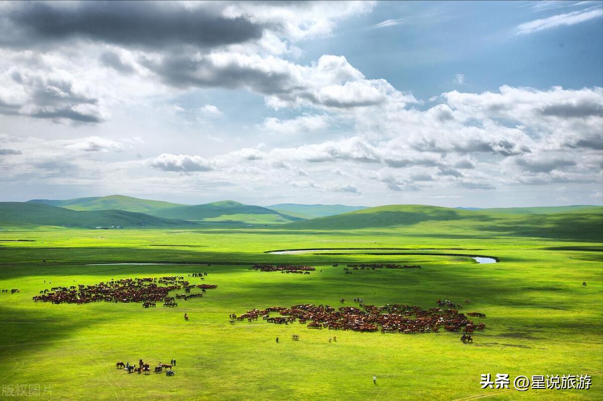 Where is the summer resort? It must be grassland! Have you been to the ...